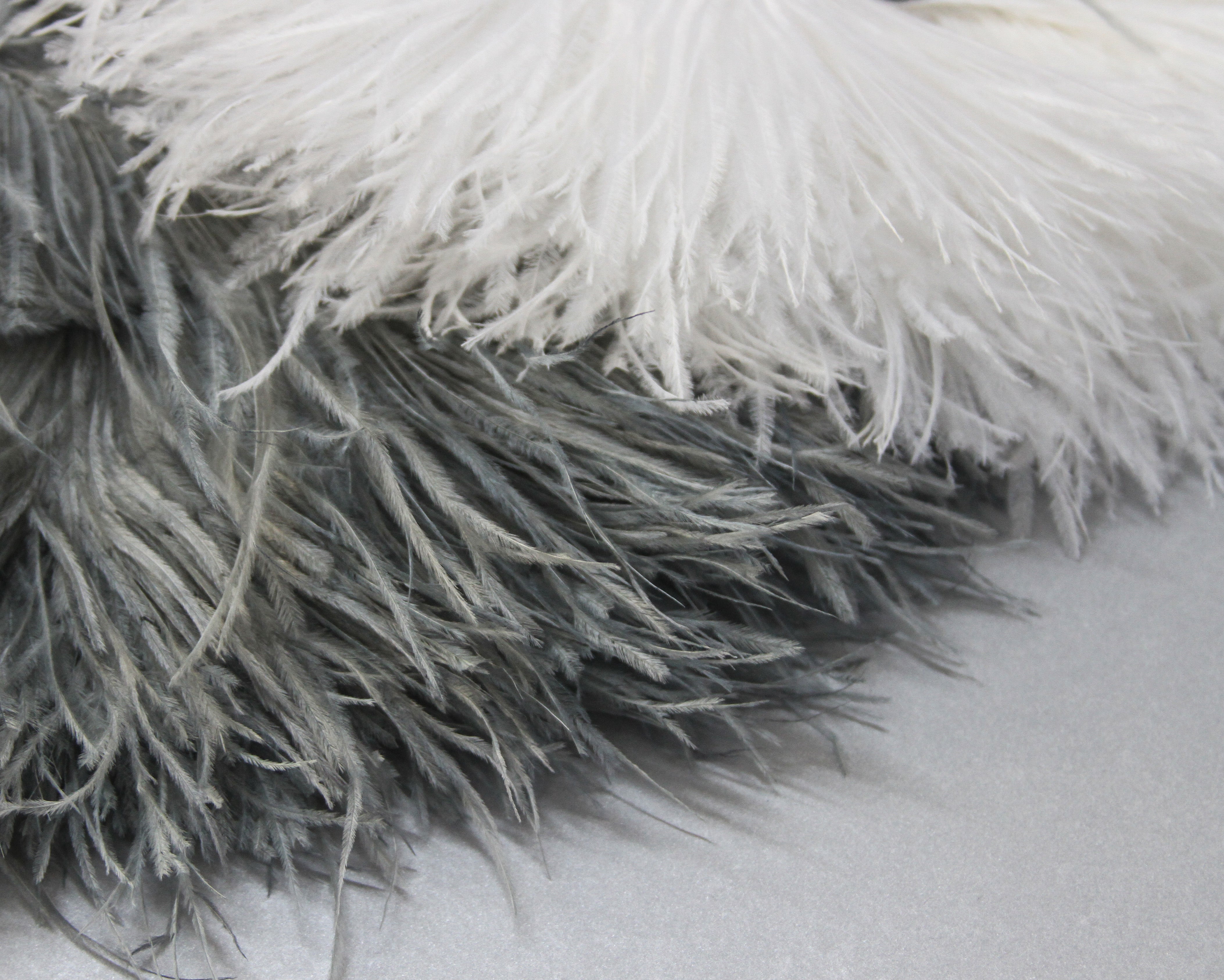 Ostrich Feather Trimmings (Sold By Meter) | Ostrich Africa
