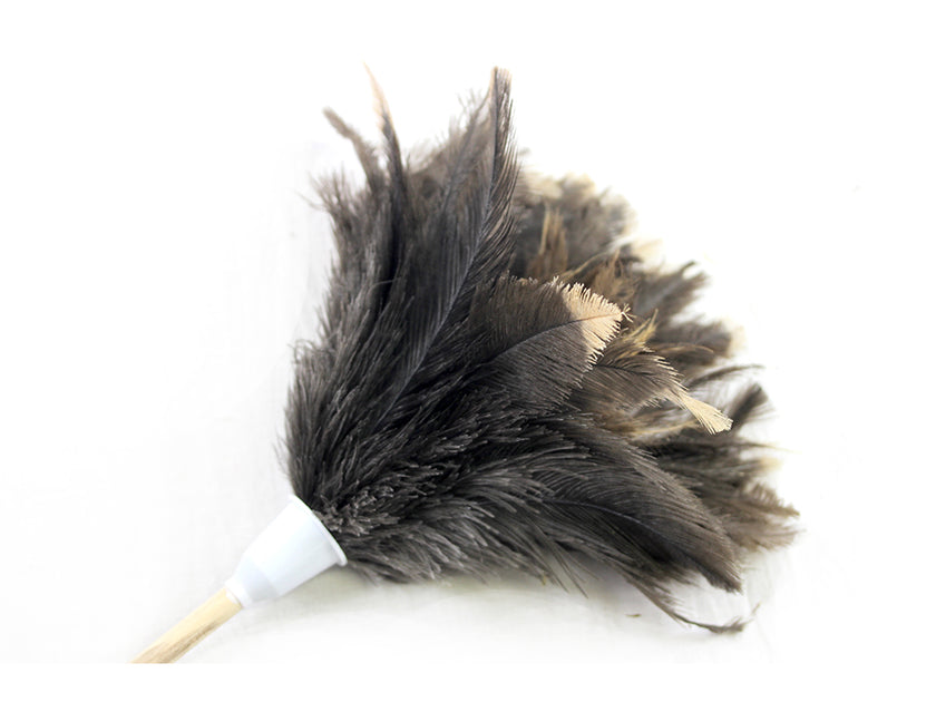 Economy Feather Duster– Ostrich Africa